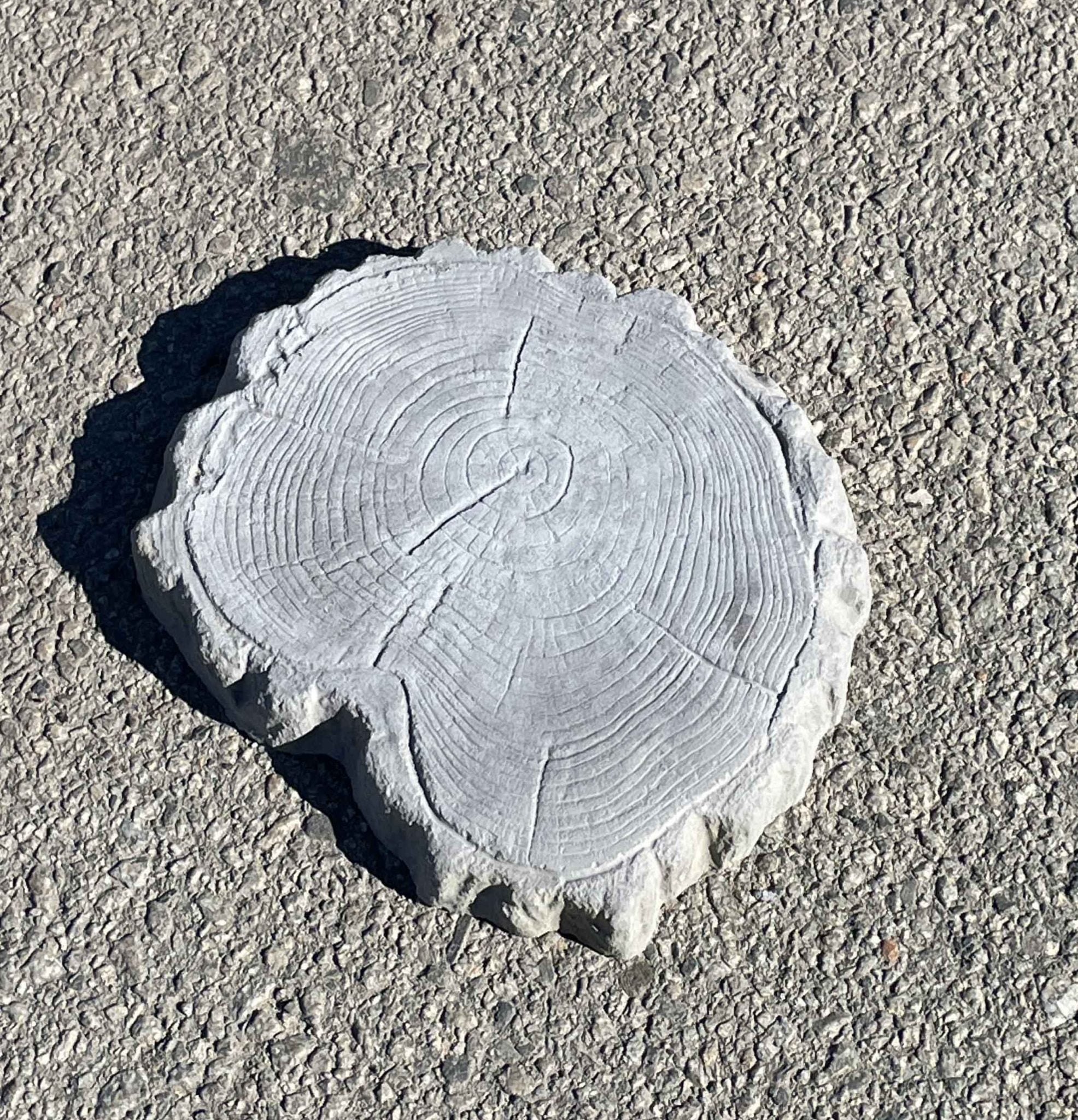 Log Stepping Stones - Soil World