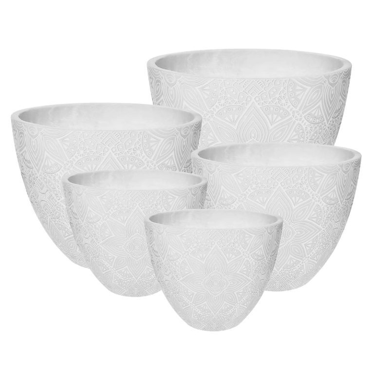 Henna Egg Pots - Soil World